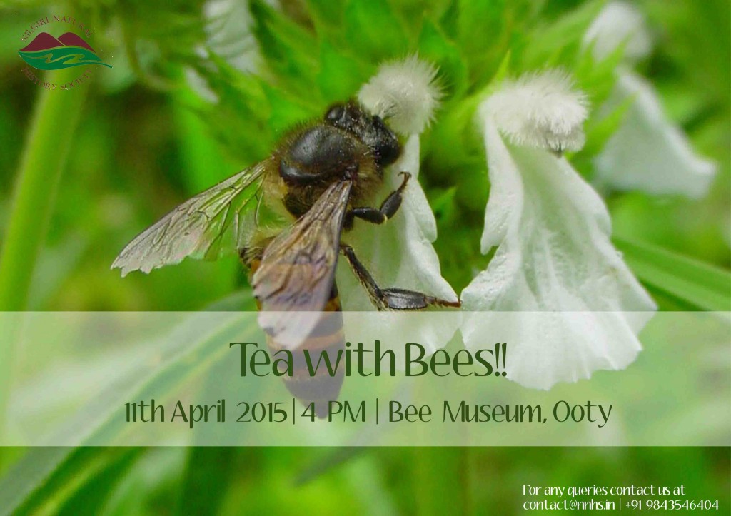 Tea with Bees!! – Nilgiri Natural History Society
