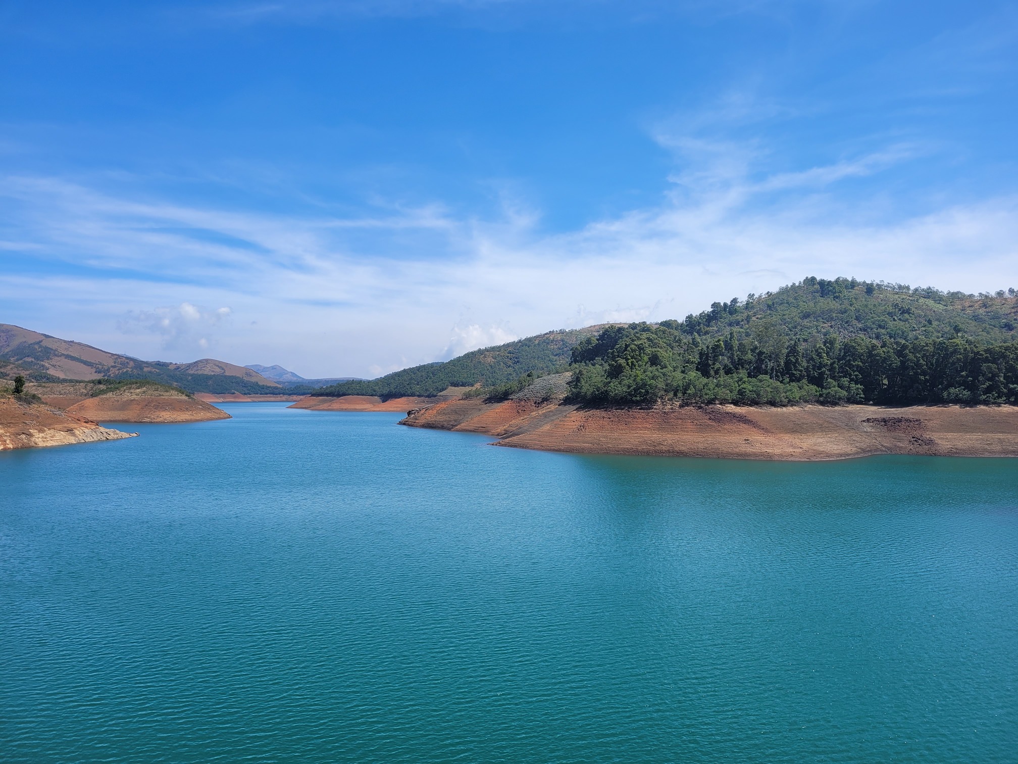 Nilgiri Natural History Society